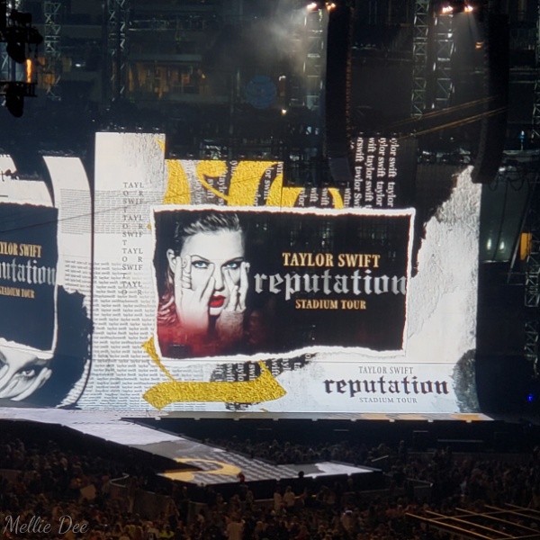 2018Taylor Swift’s Reputation Stadium Tour