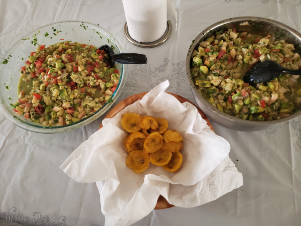 Kelly and Daniel’s Party | Ceviche & Plantain